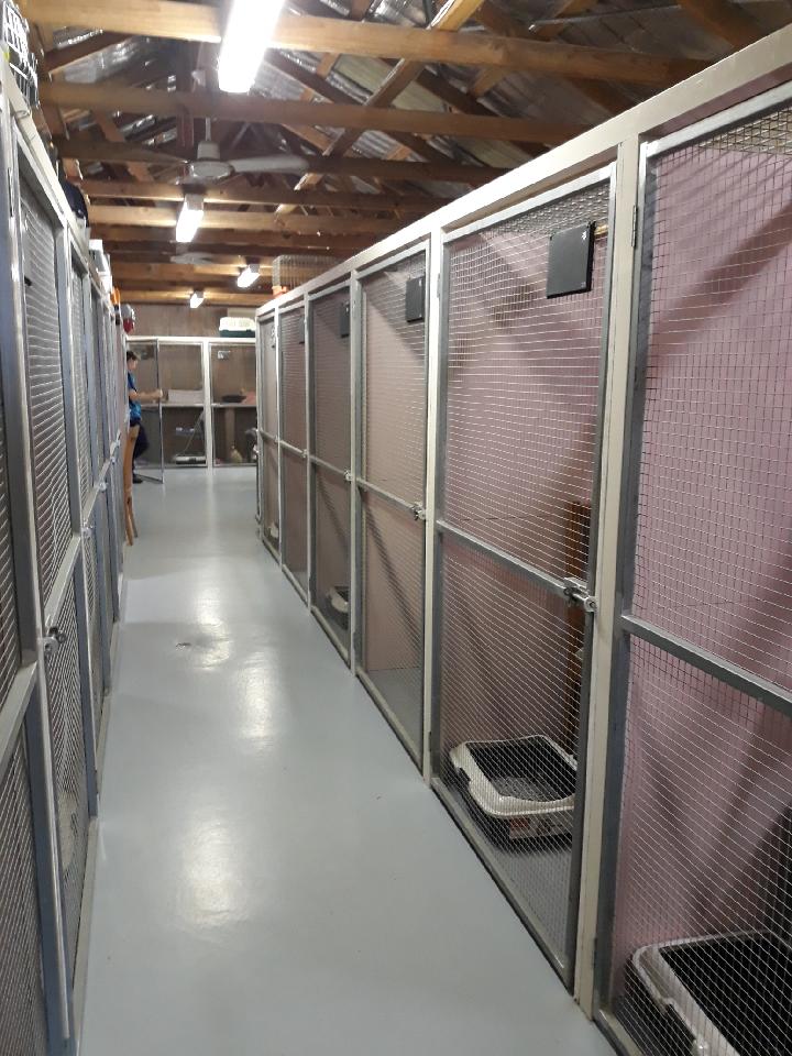 Cattery - Jack's K9 Place